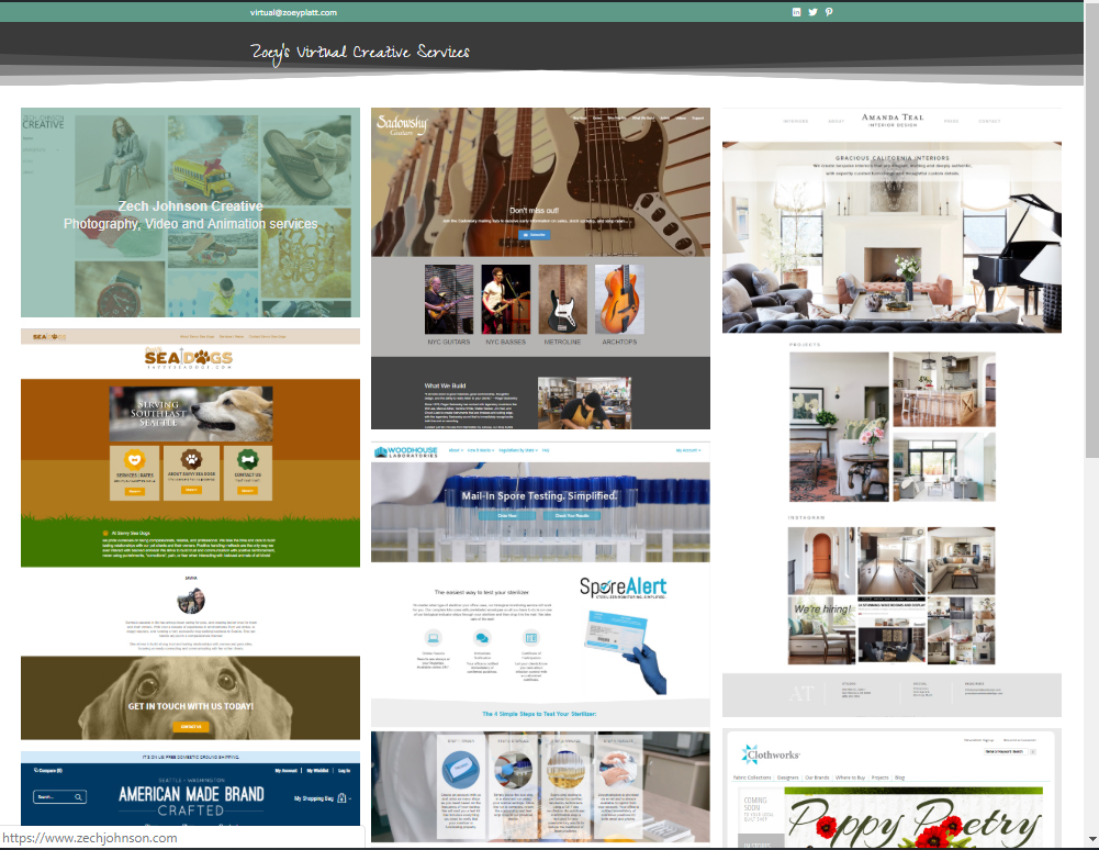 Examples - Zoey's Virtual Creative Services